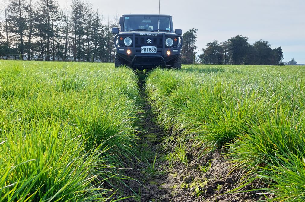 RUTS PLUS – Ruts Plus