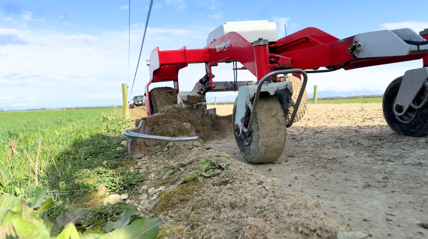 RUTS PLUS – Ruts Plus